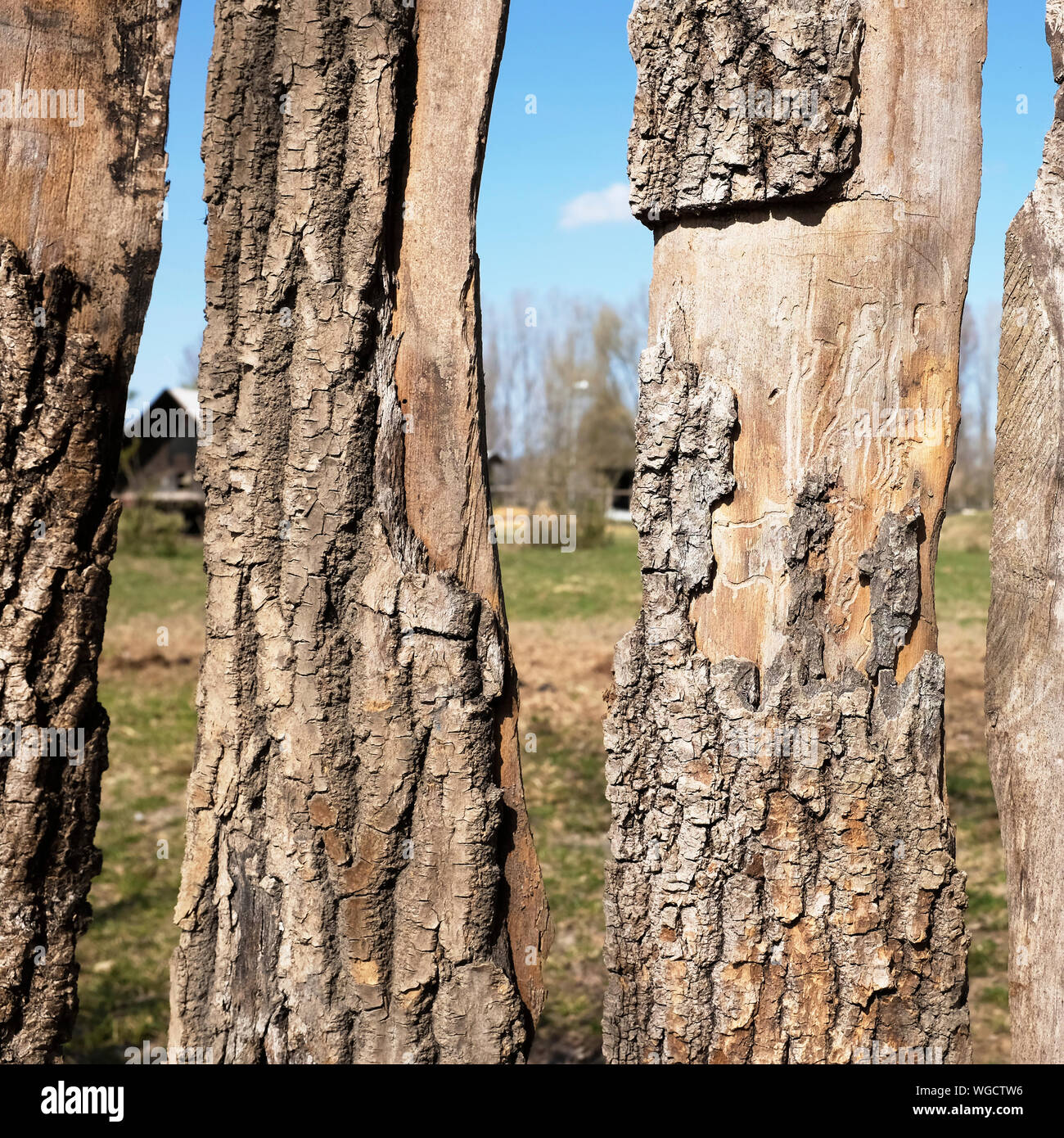 Old rustic wooden fence in the countryside Stock Photo - Alamy