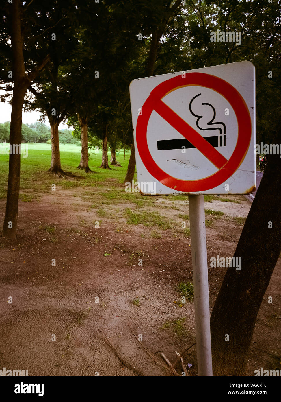 No Smoking Tree High Resolution Stock Photography and Images - Alamy
