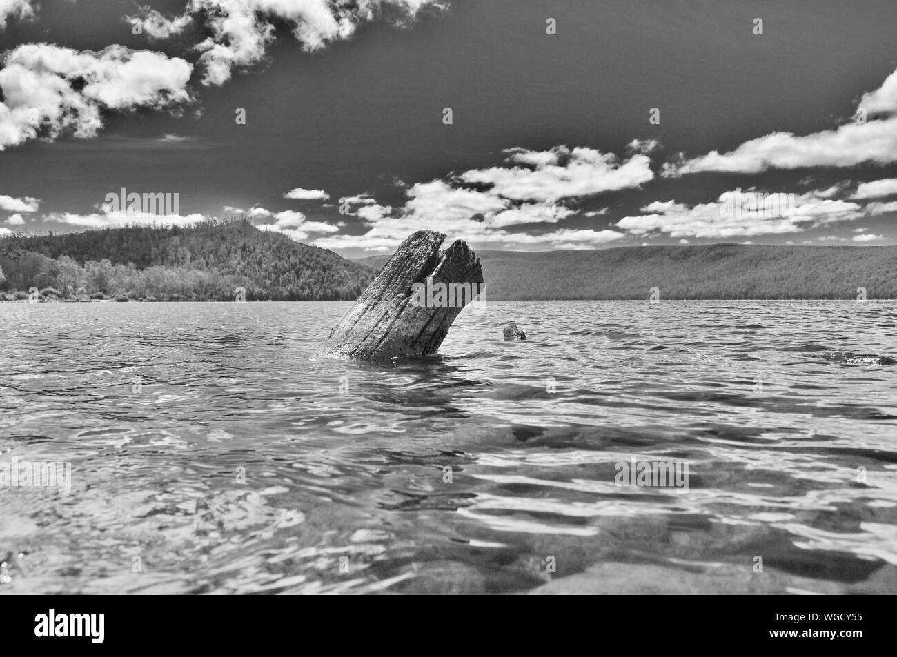 Log Floating In River High Resolution Stock Photography and Images - Alamy
