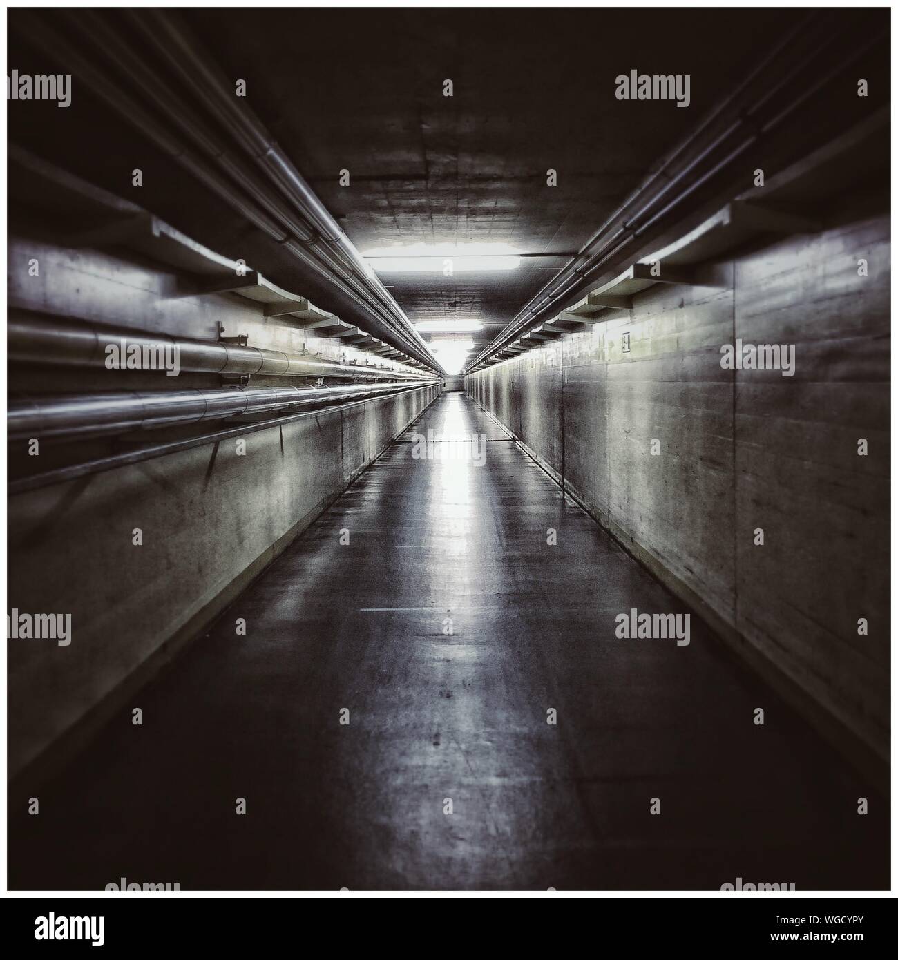 Transfer tunnel hi-res stock photography and images - Alamy