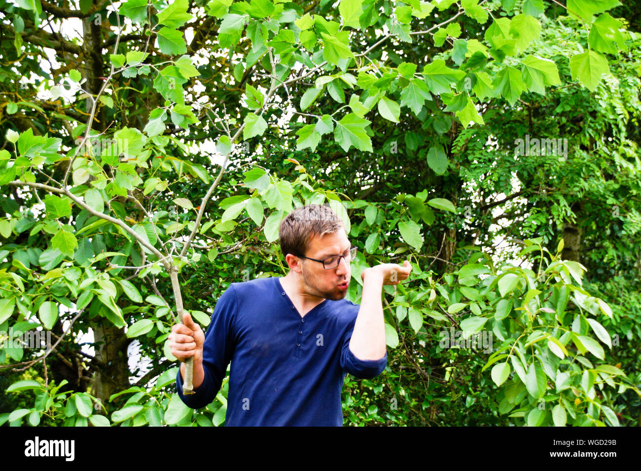 Young Man Standing By Tree In Forest Stock Photo - Alamy