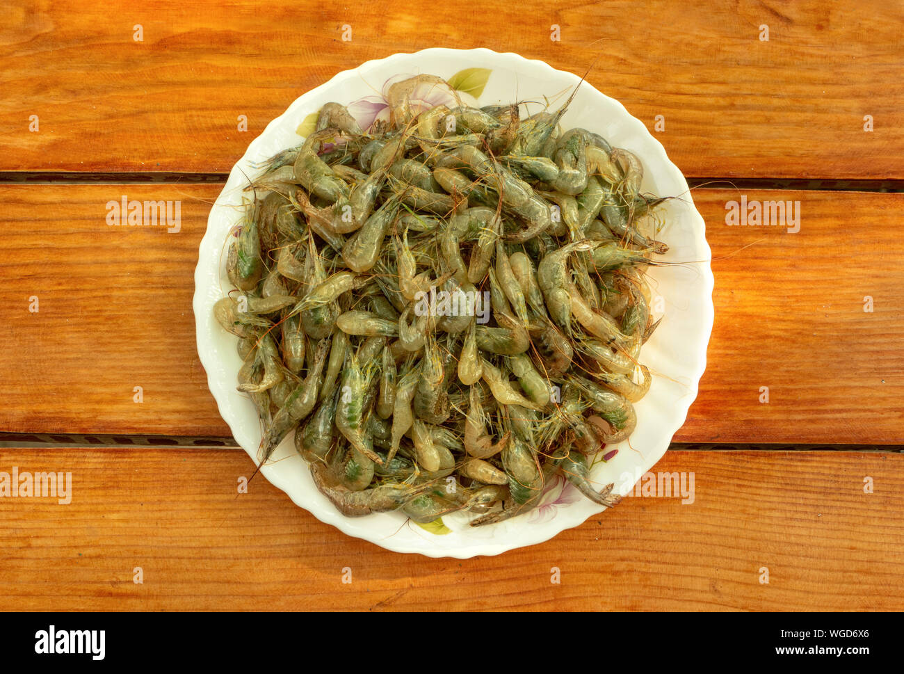 Little shrimp hi-res stock photography and images - Alamy