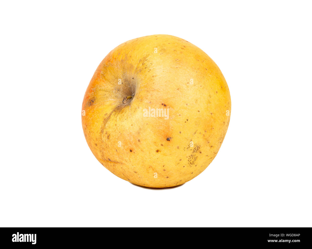 Sluggish yellow apple isolated on white background Stock Photo - Alamy
