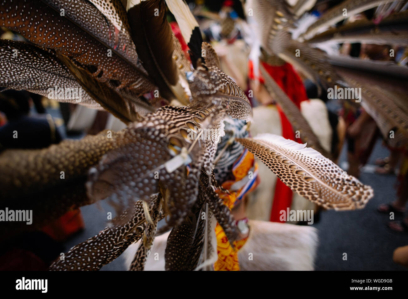 Men Wearing Feathers High Resolution Stock Photography and Images - Alamy
