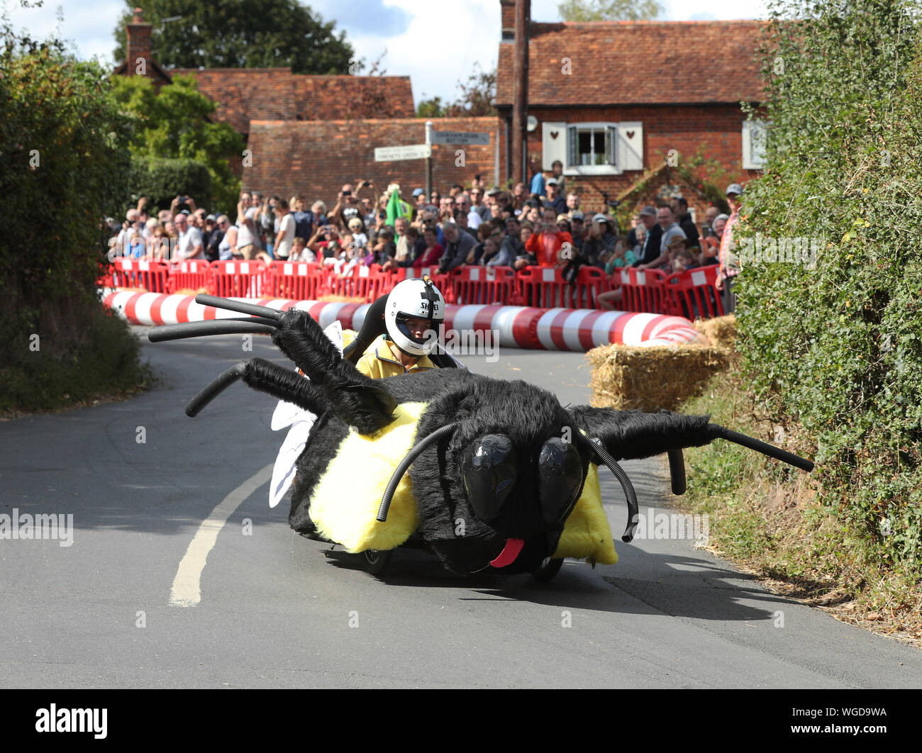 Bee inspired kart downhill hi-res stock photography and images - Alamy