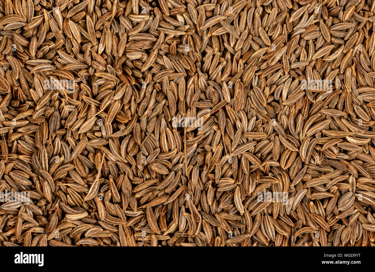 Spices from indian kitchen hi-res stock photography and images - Alamy