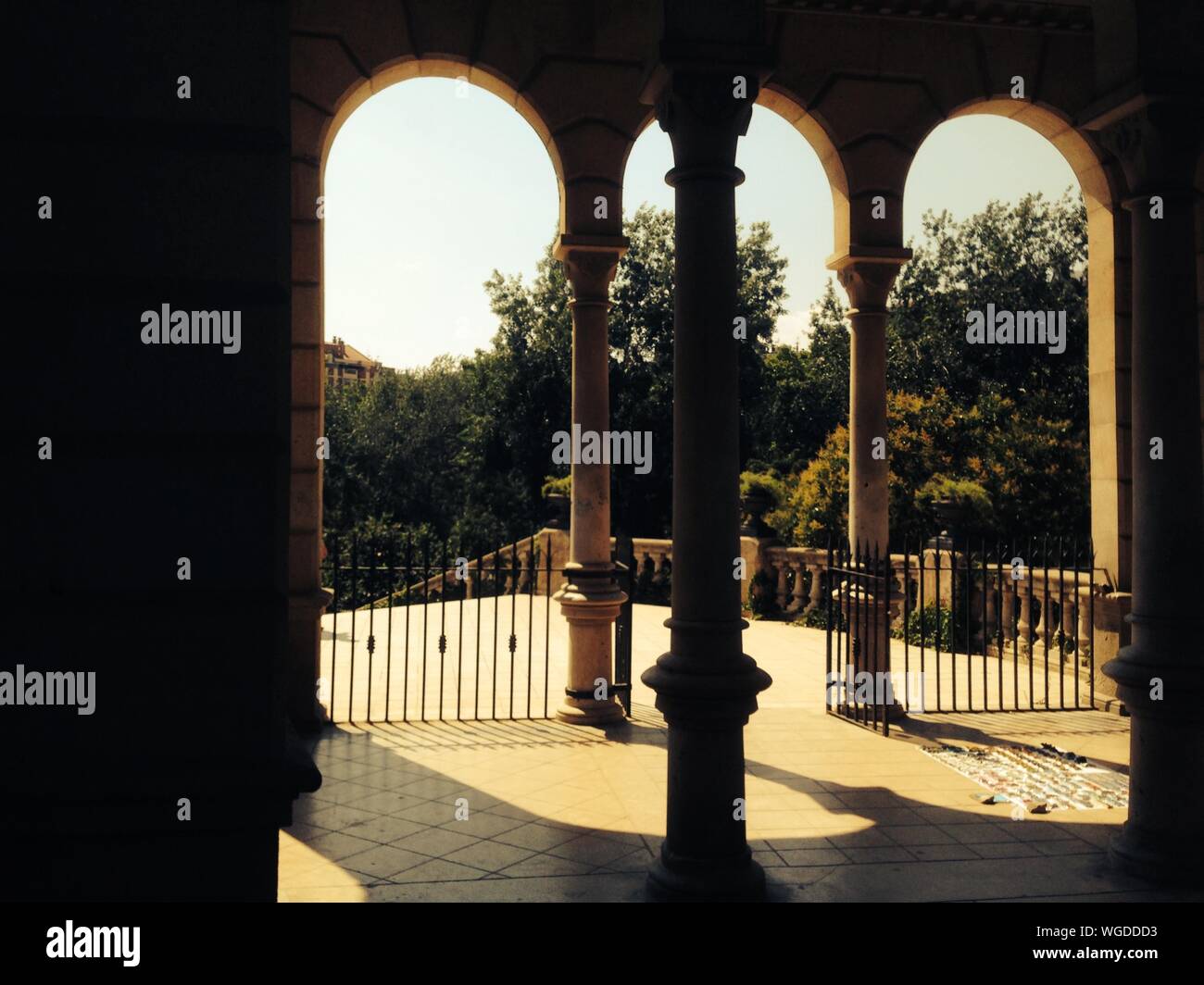 Arched trees hi-res stock photography and images - Alamy