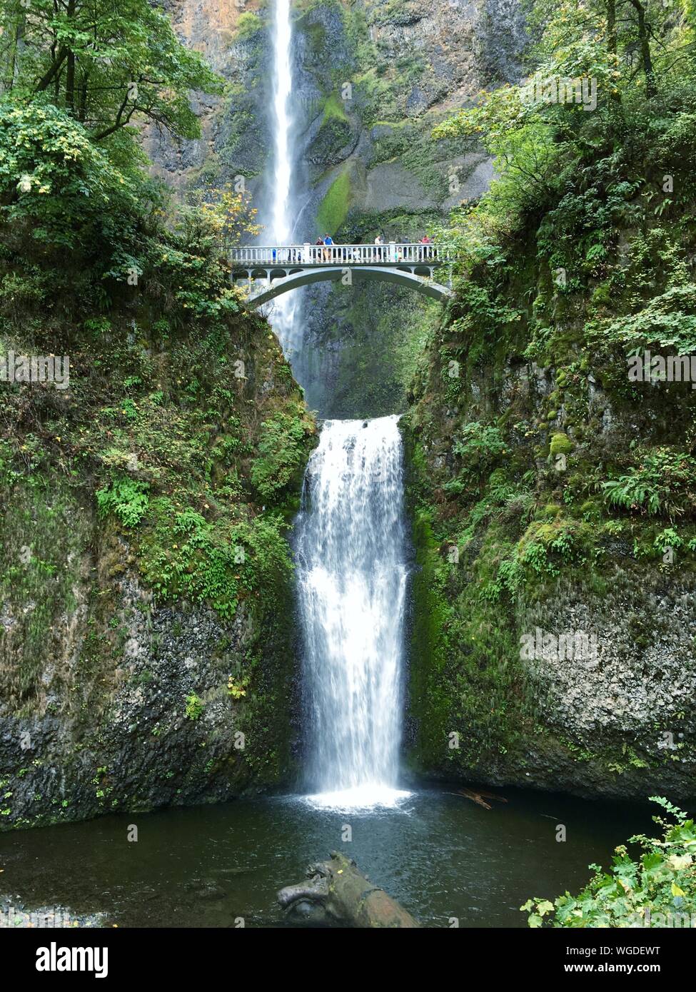 Bridge multnomah falls hi-res stock photography and images - Alamy