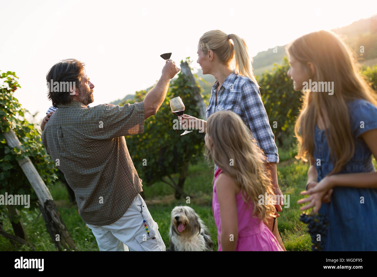 Picture of people tasting red wine in vineyard Stock Photo - Alamy