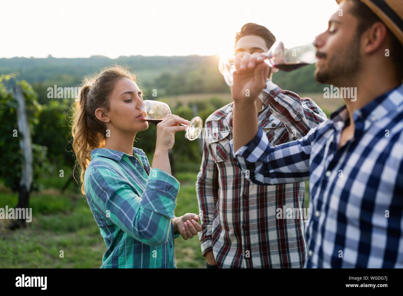 Picture of people tasting red wine in vineyard Stock Photo - Alamy