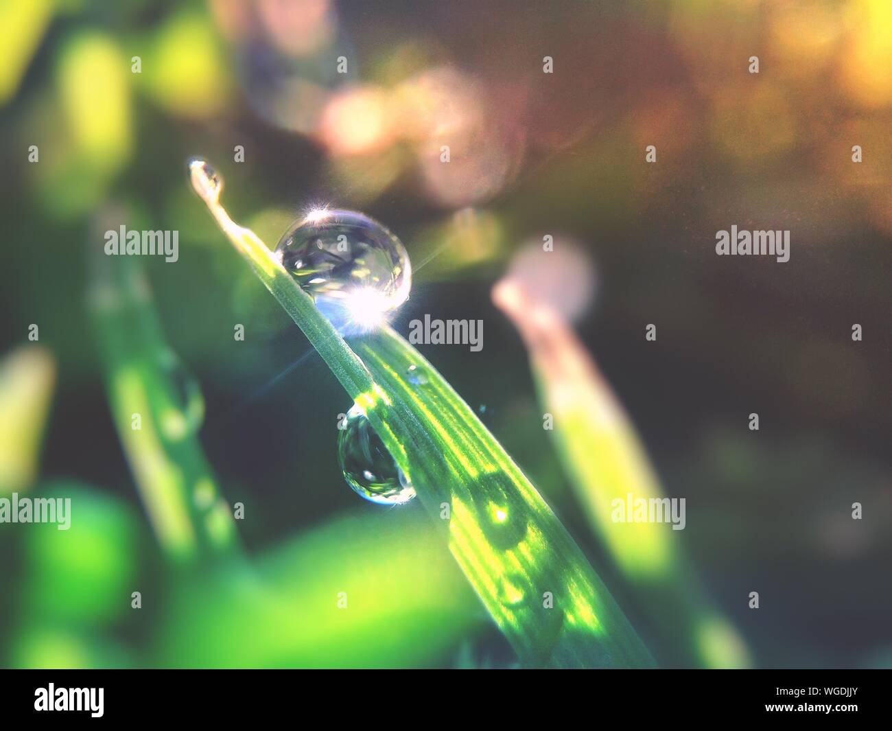 Rain drops on lens hi-res stock photography and images - Alamy