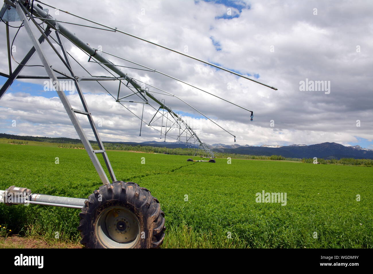 Farm sprinkler hi-res stock photography and images - Alamy