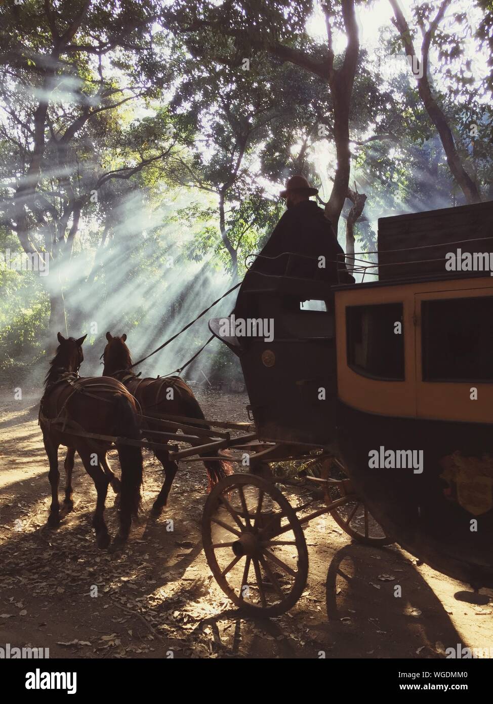 Man with horse cart hi-res stock photography and images - Alamy