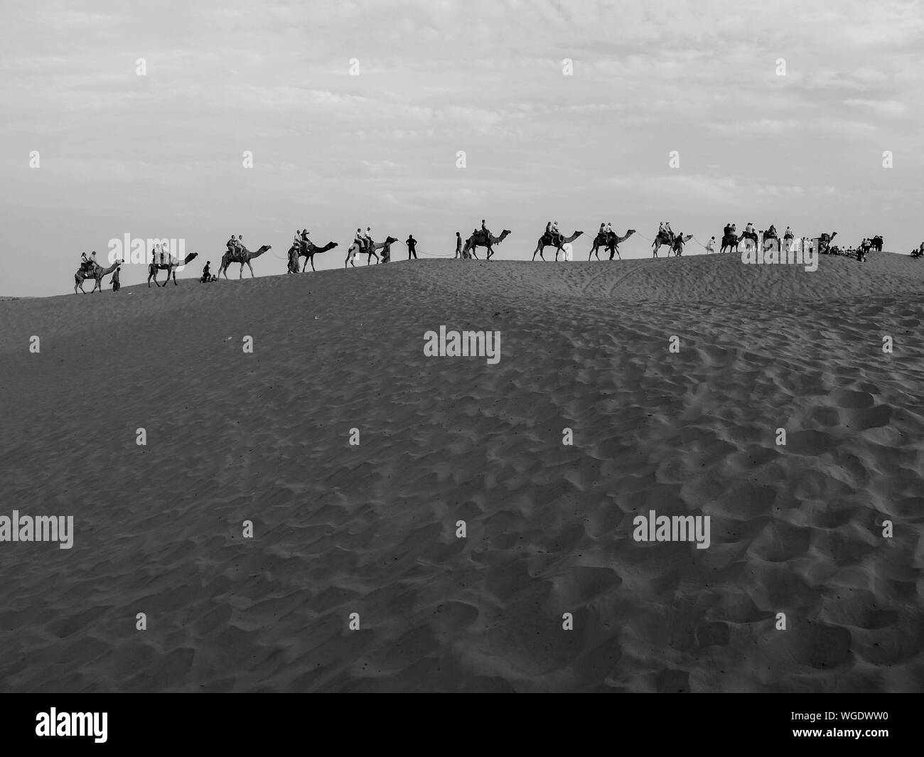Train in desert hi-res stock photography and images - Alamy