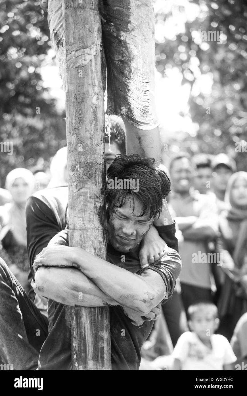 Climbing up the pole hi-res stock photography and images - Alamy