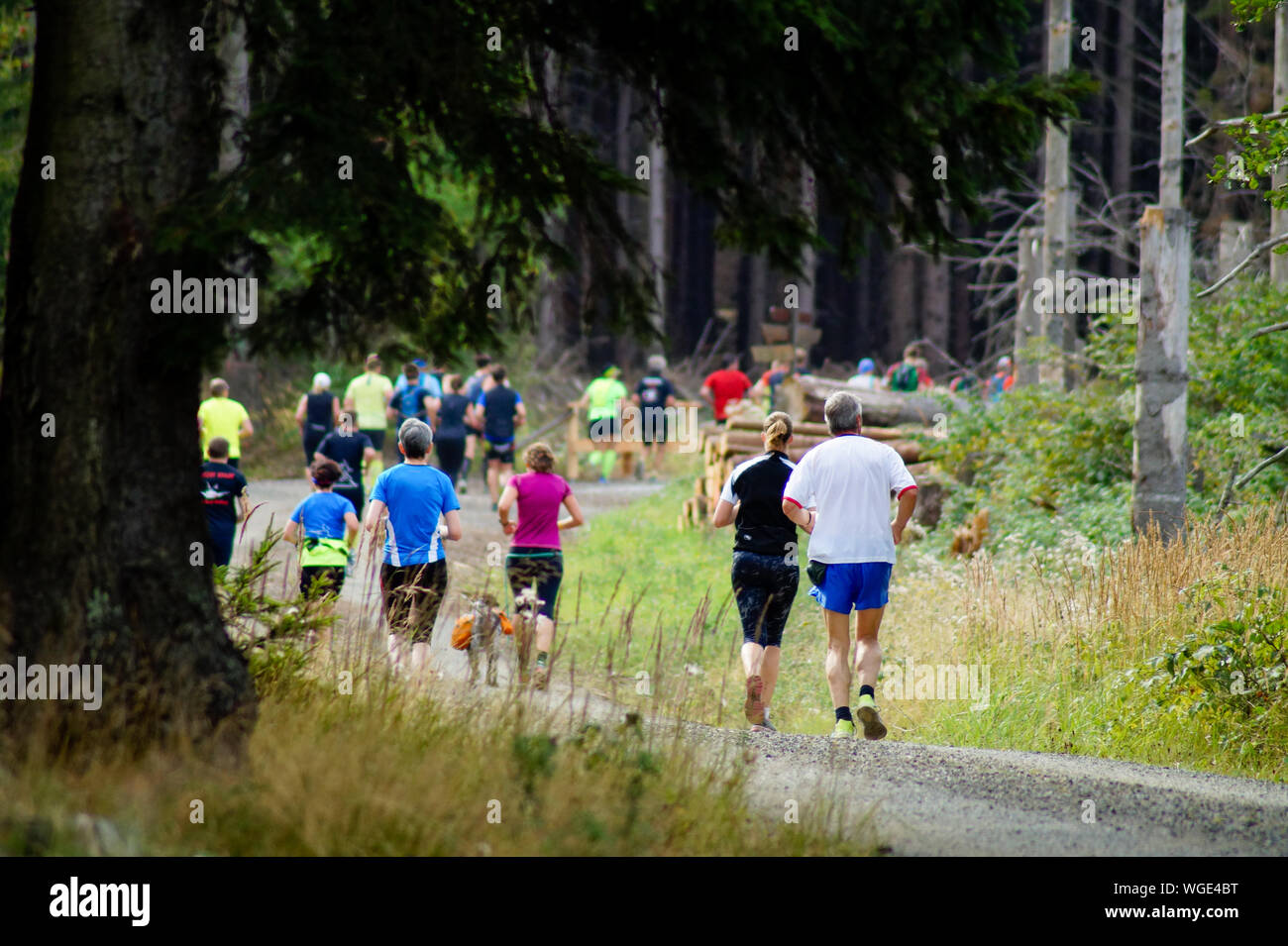 Running race on grass hi-res stock photography and images - Alamy