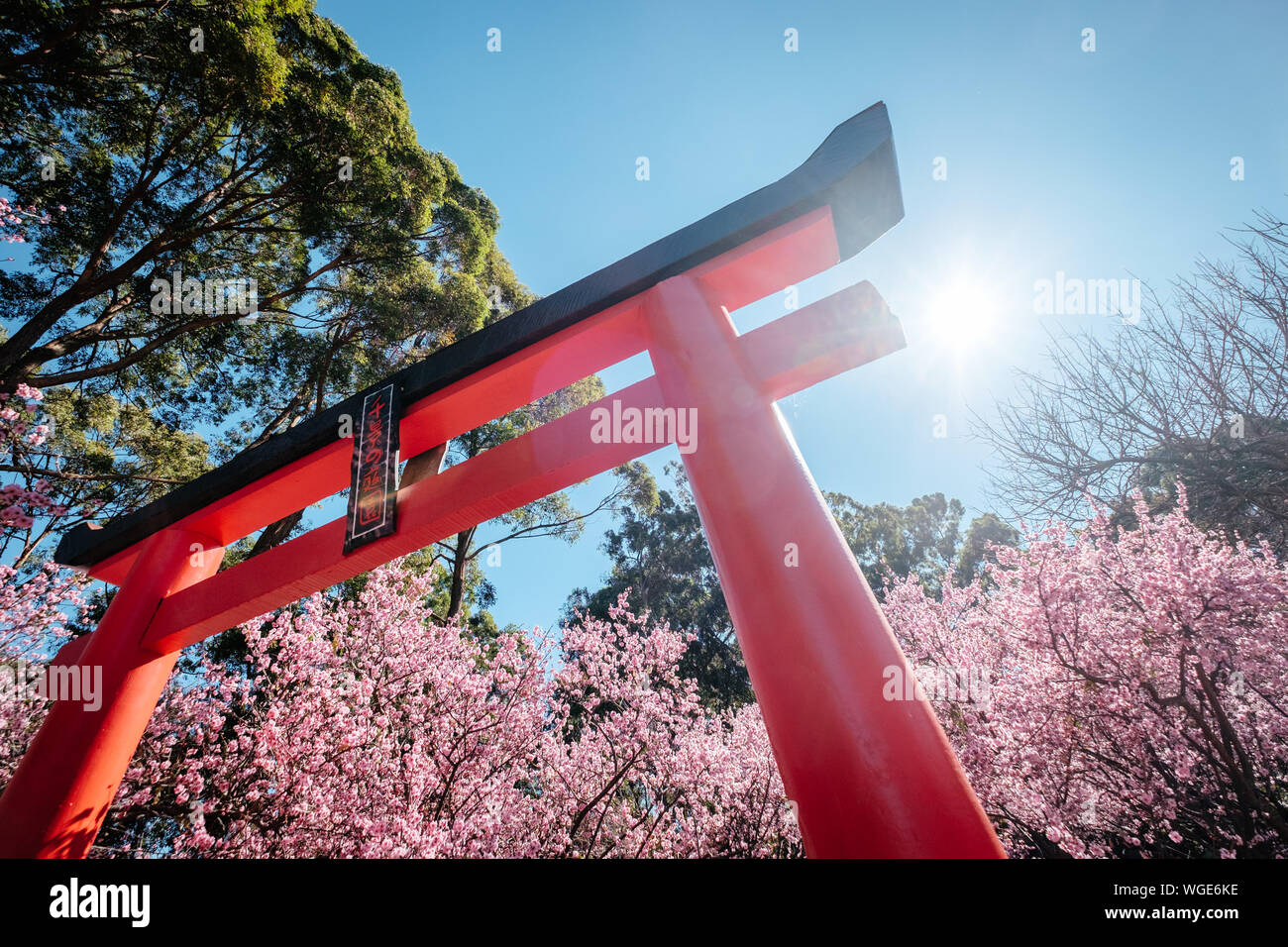 Torii gate garden hi-res stock photography and images - Alamy