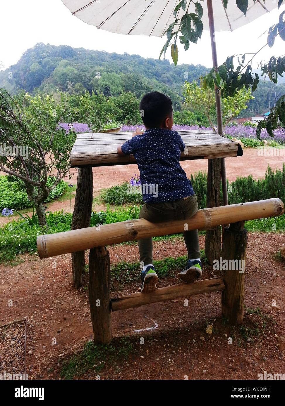 Boy Sitting On Bench Rear View High Resolution Stock Photography and ... Boy Sitting On Bench Rear View High Resolution Stock Photography and ...