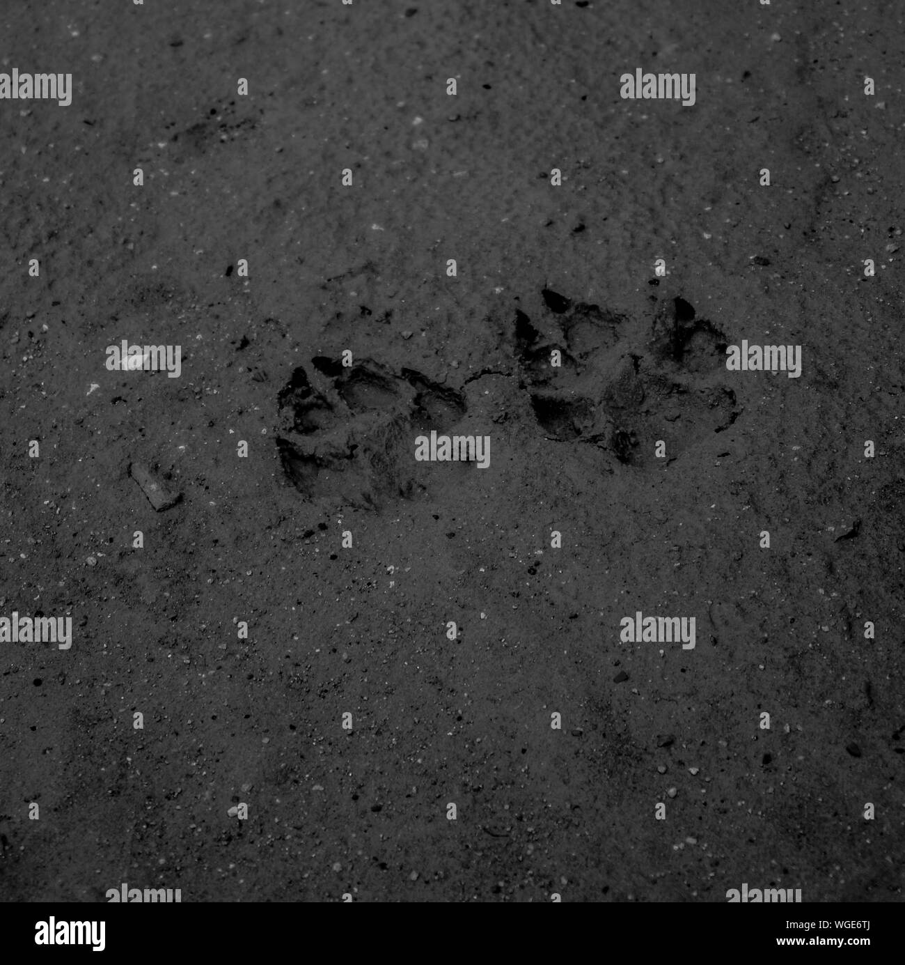 Night prints hi-res stock photography and images - Alamy