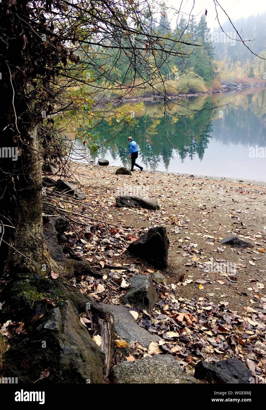 Side view person walking hi-res stock photography and images - Alamy