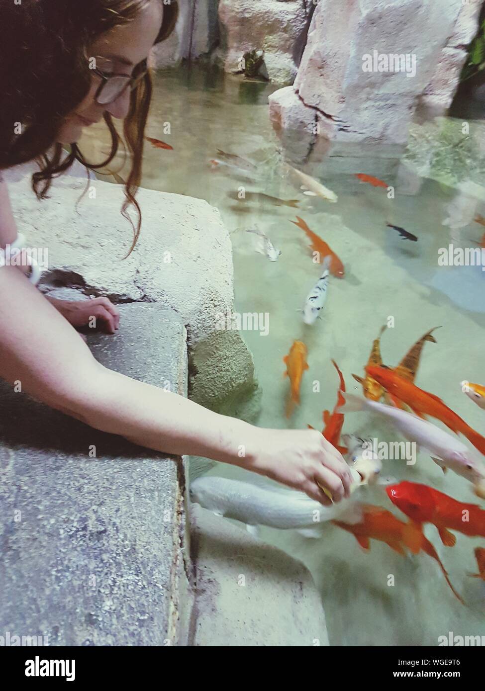 Feeding fish hi-res stock photography and images - Alamy