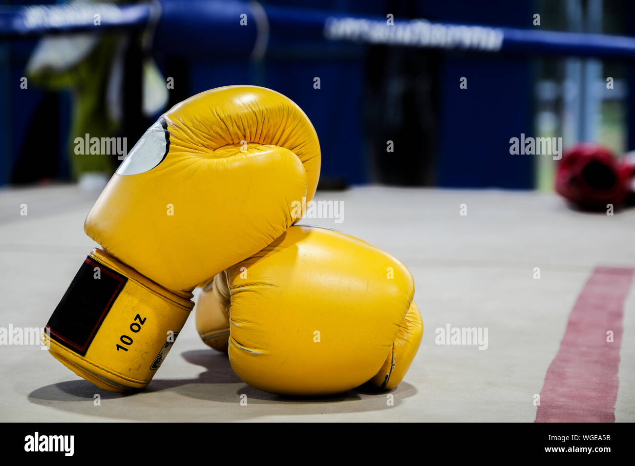 Boxing ring boxing gloves hi-res stock photography and images - Alamy