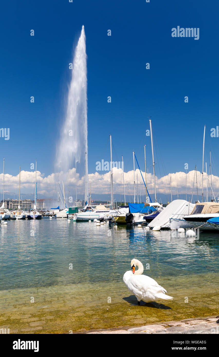 Background lake geneva hi-res stock photography and images - Alamy