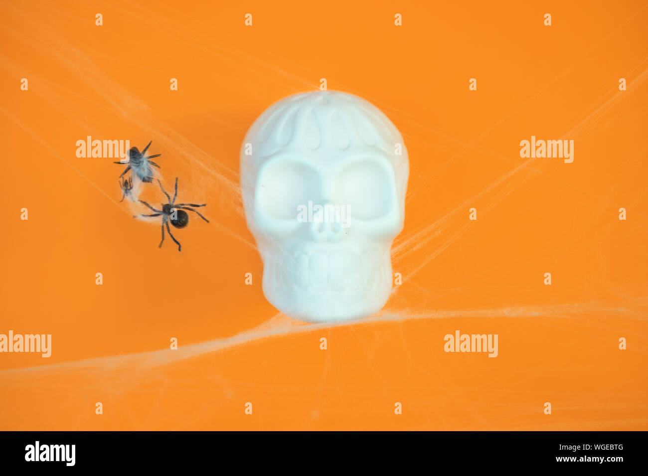 Human skull top view hi-res stock photography and images - Alamy