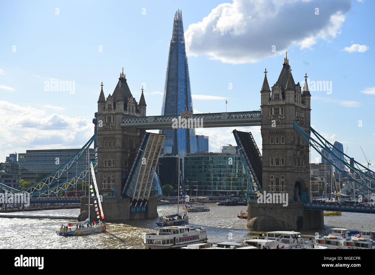 Boats from the Clipper Round the World Race make their way under London ...