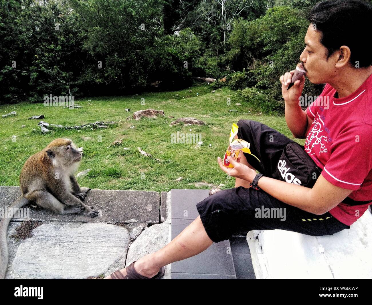 Animal eating man hi-res stock photography and images - Alamy