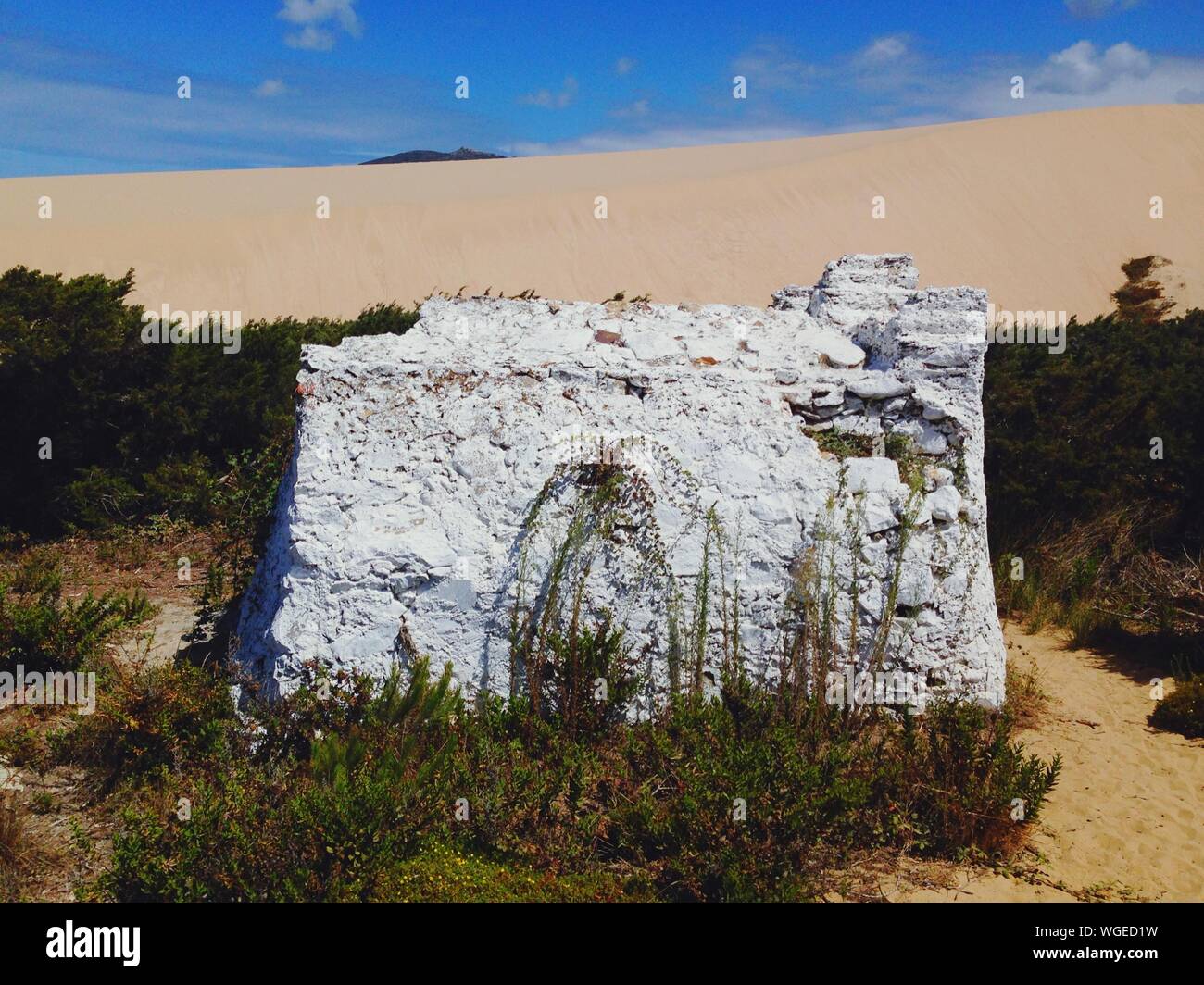 Panted hi-res stock photography and images - Alamy