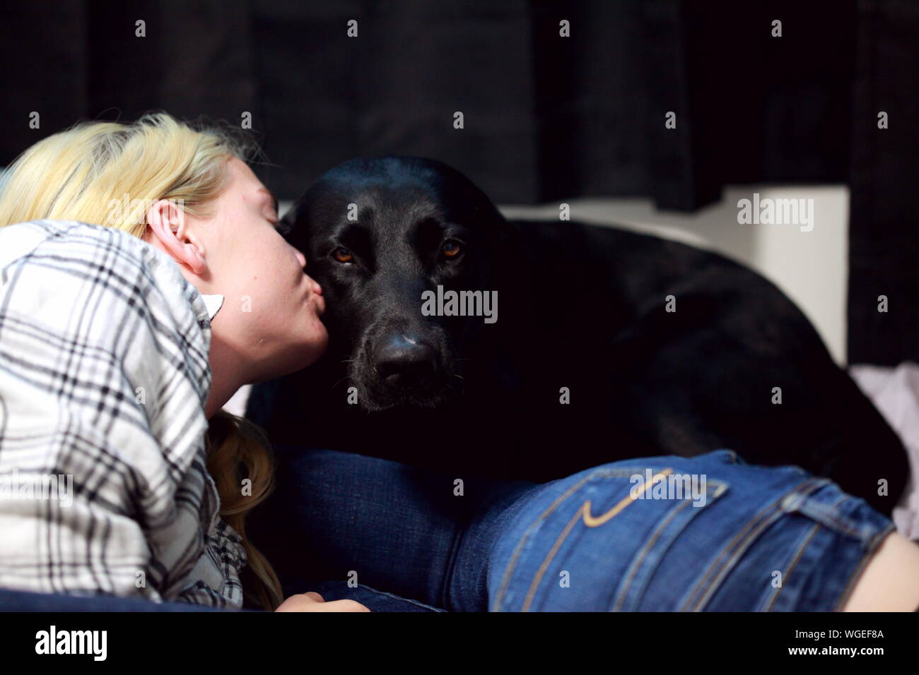 Woman with black labrador retriever hi-res stock photography and images ...