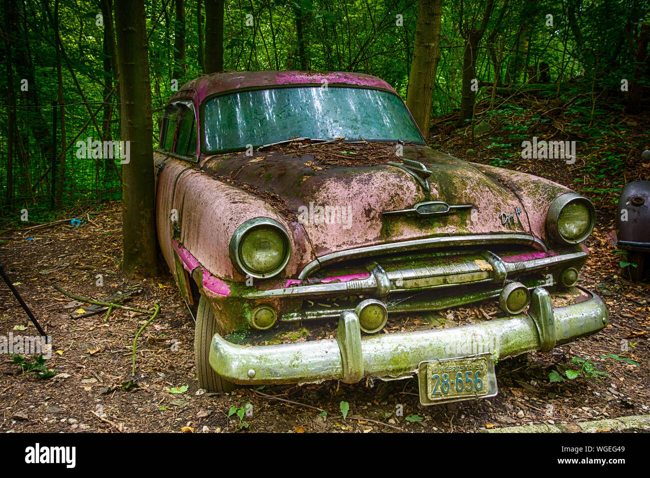 Abandoned car in forest hi-res stock photography and images - Alamy