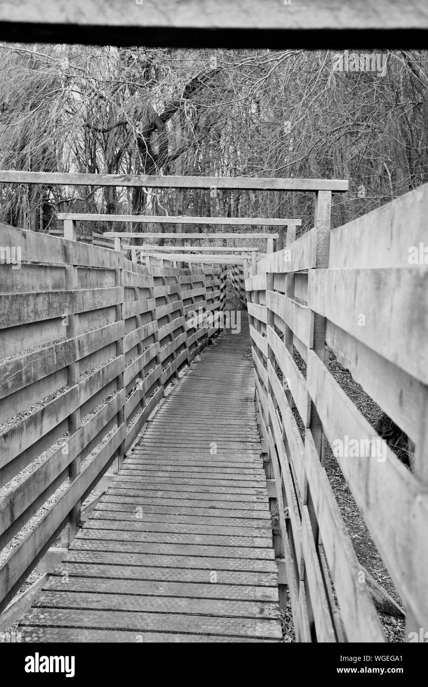 Steps of the footbridge Black and White Stock Photos & Images - Alamy