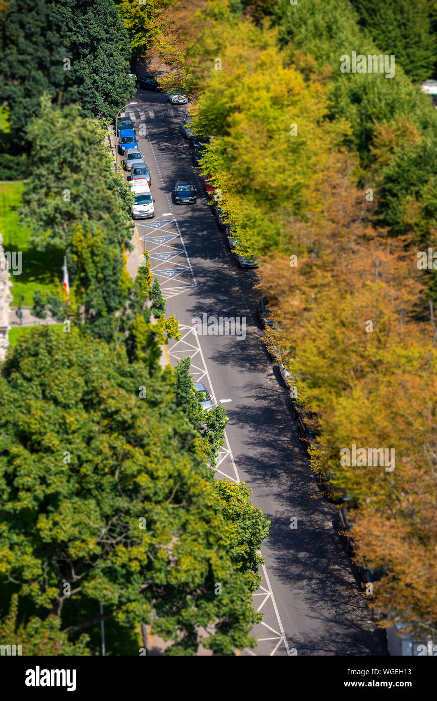 Asphalt road with tree in city with cars driving ahead Stock Photo - Alamy