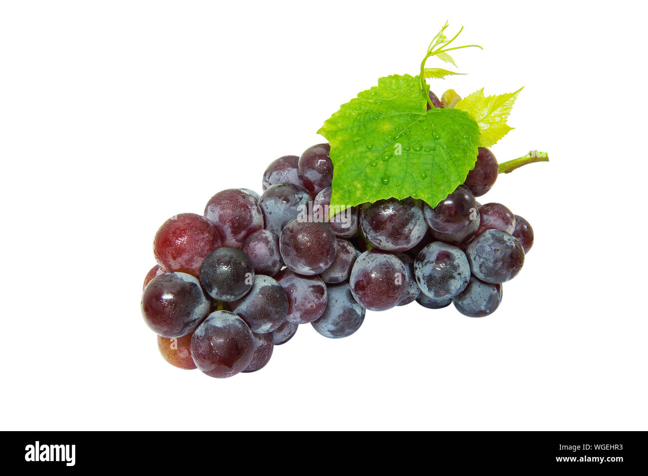 Grapes white background hi-res stock photography and images - Alamy