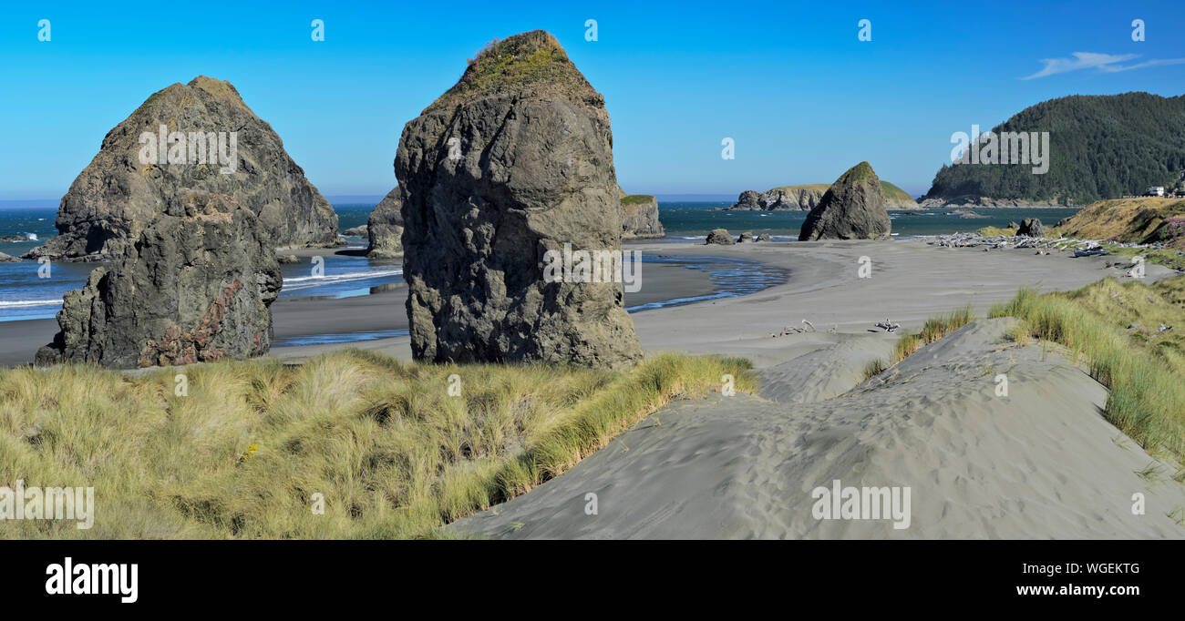 Sea stacks along the beach in Pistol River State Park near Gold Beach ...