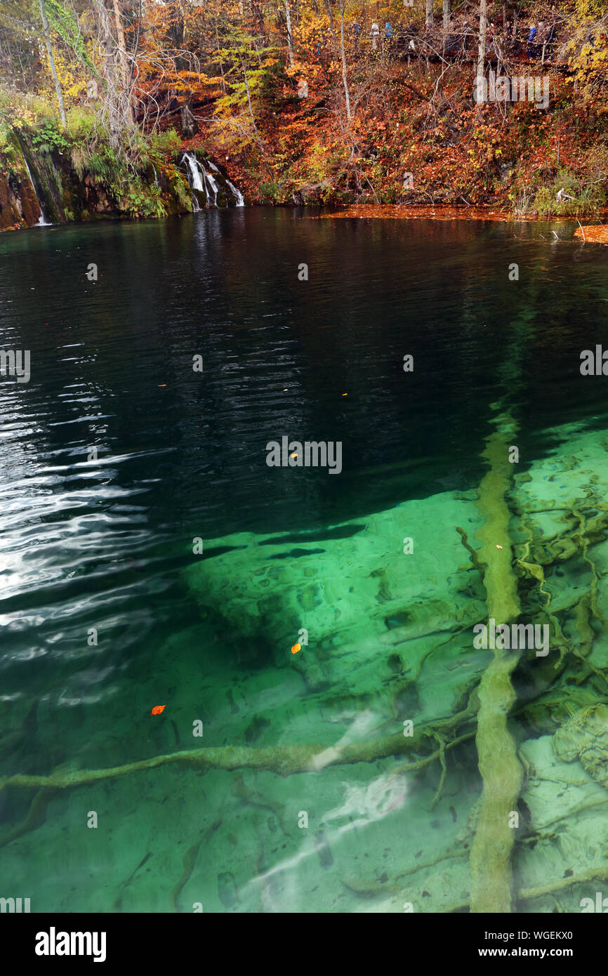 Park clean hi-res stock photography and images - Alamy