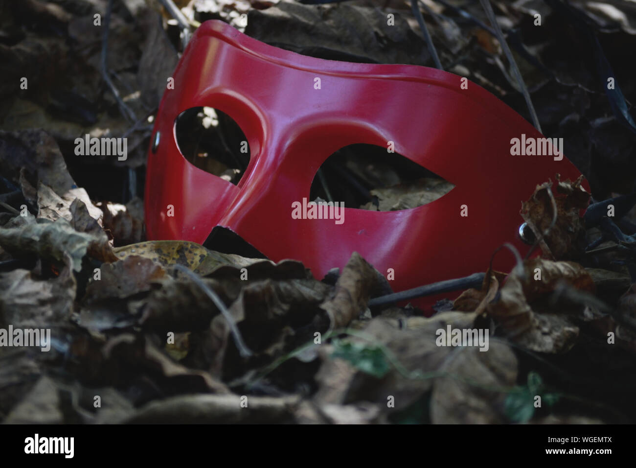 Victorian masquerade mask hi-res stock photography and images - Alamy