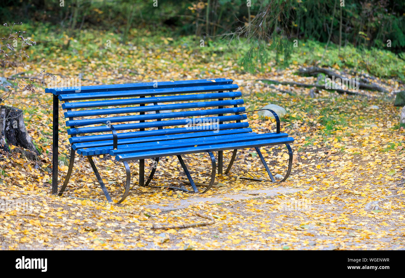 Large blue bench surrounded by fallen tree leaves Stock Photo - Alamy
