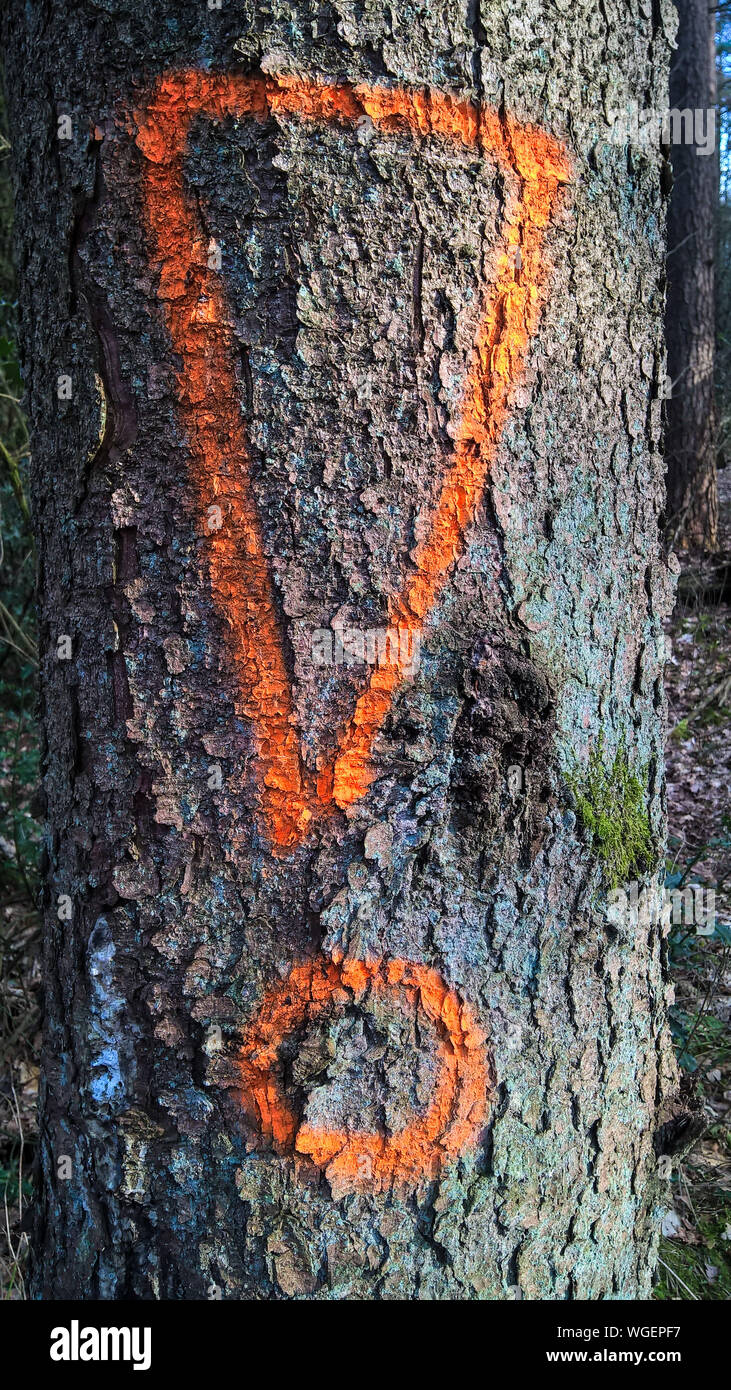 Mark Tree High Resolution Stock Photography and Images - Alamy