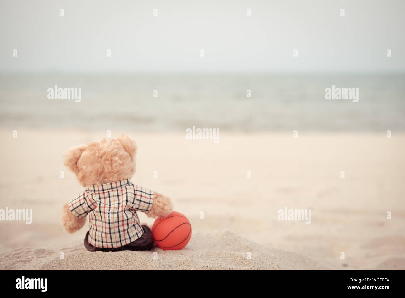 Teddy bear beach hi-res stock photography and images - Alamy