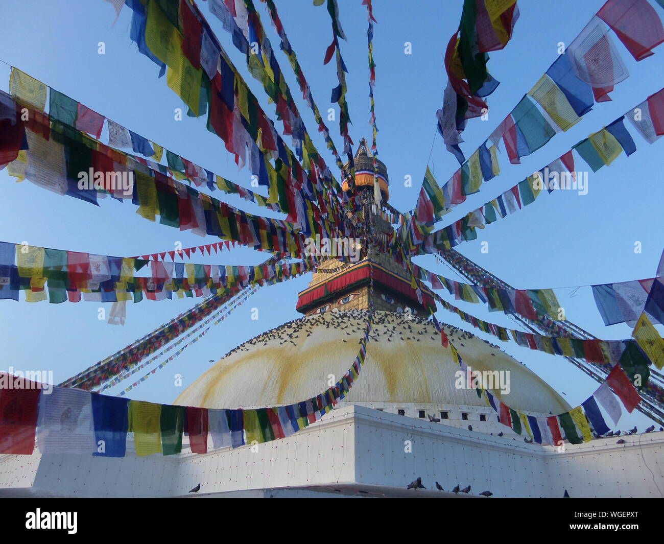Banting flag hi-res stock photography and images - Alamy