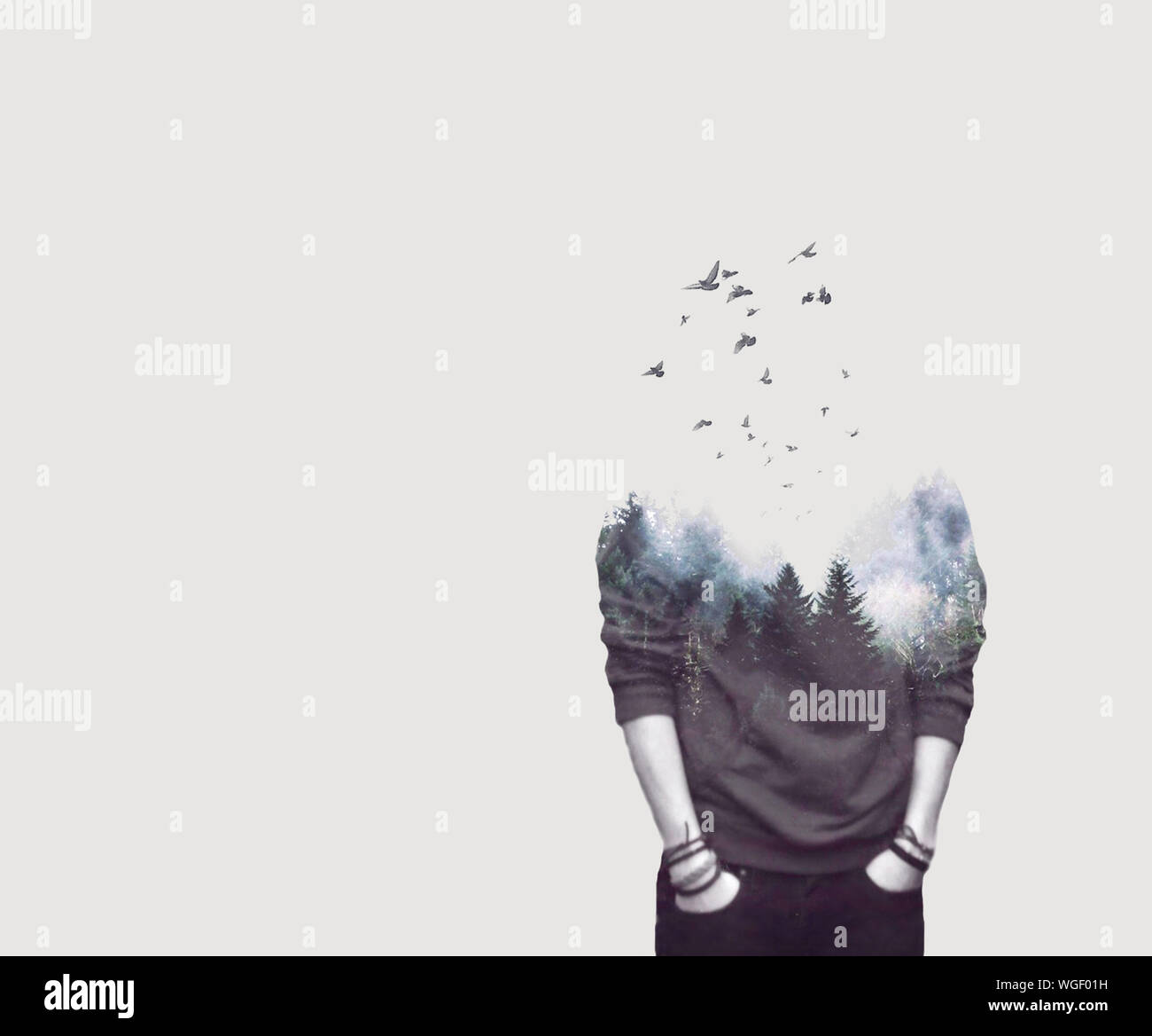 Double exposure wildlife hi-res stock photography and images - Alamy