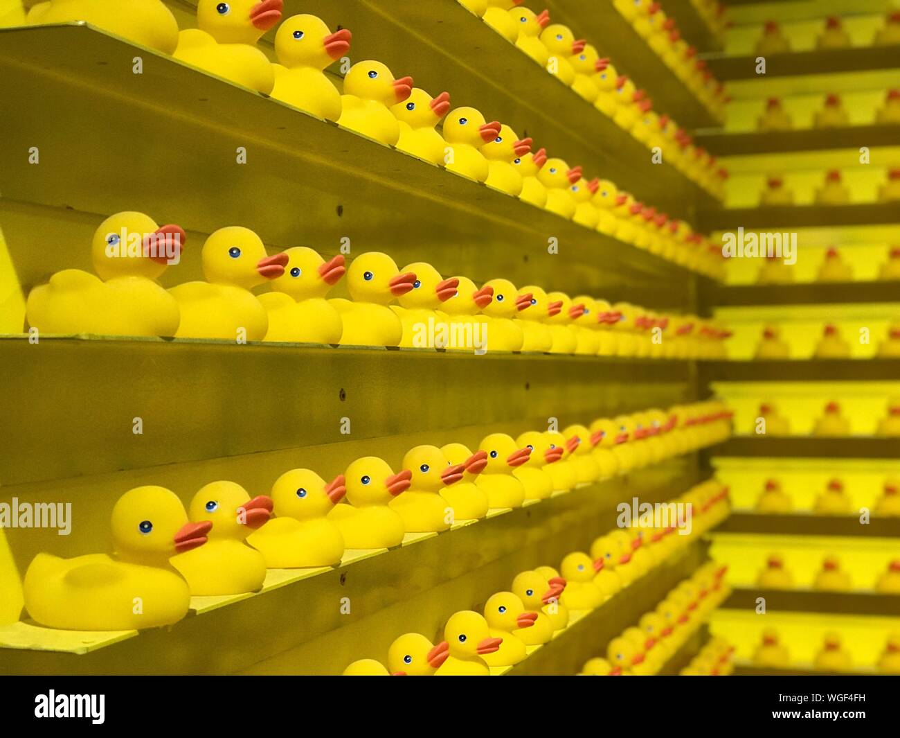 Rubber Ducks In Row High Resolution Stock Photography and Images - Alamy