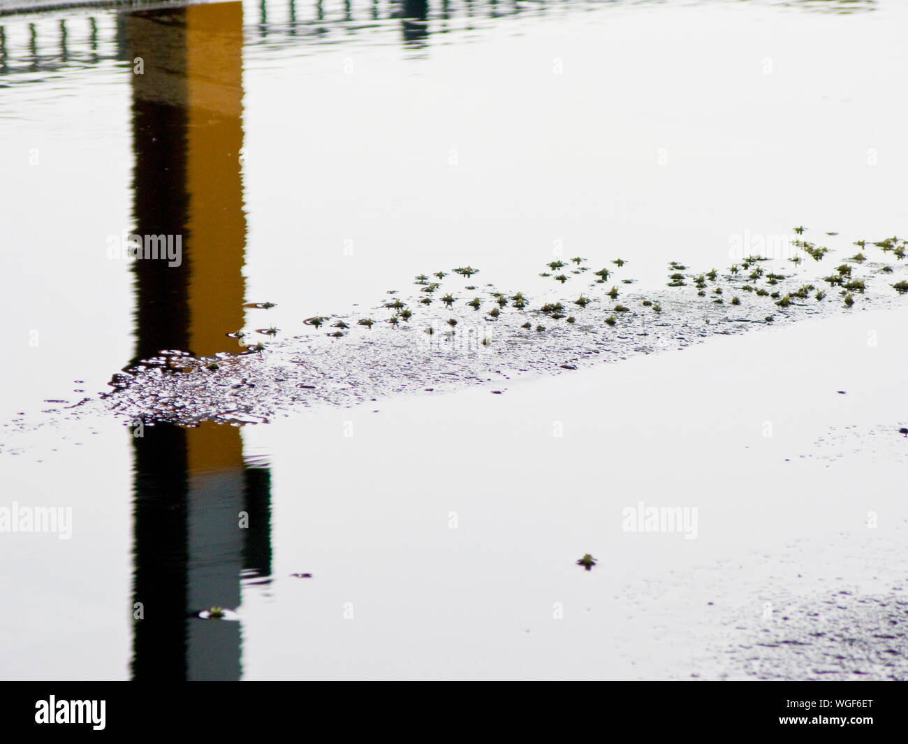 Pole in water hi-res stock photography and images - Alamy