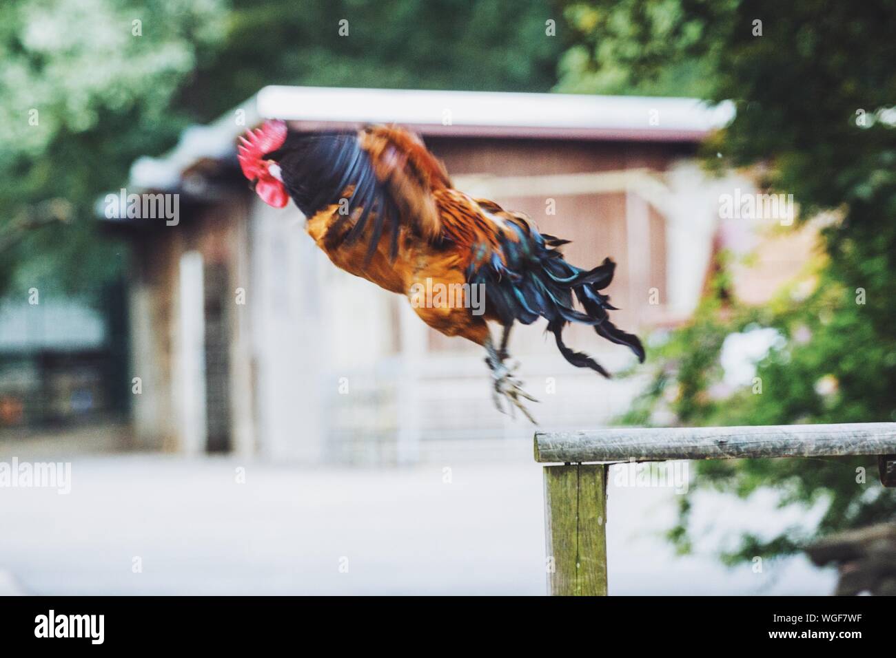 Flying house hi-res stock photography and images - Alamy