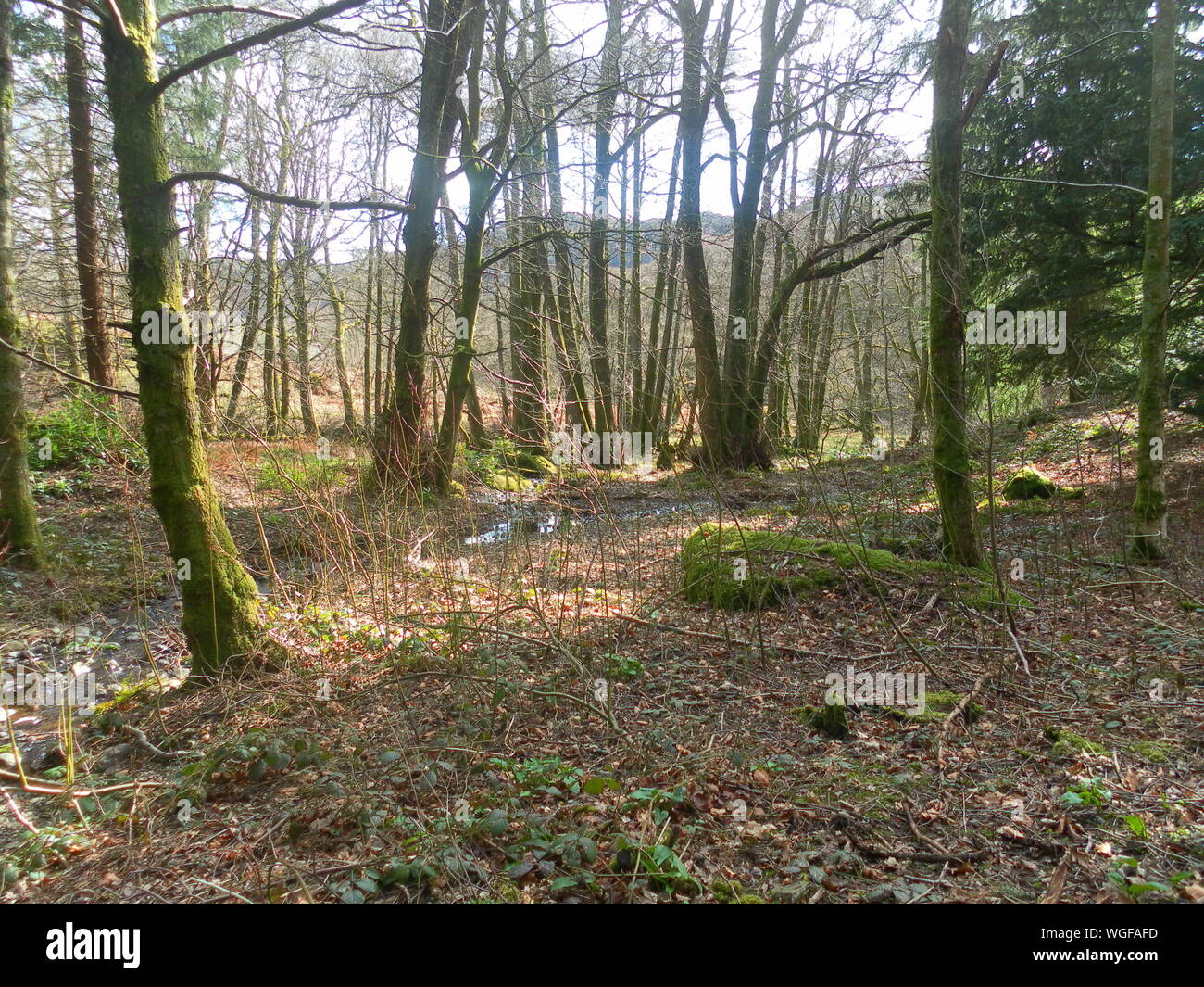 Lake District National Park England UK Stock Photo - Alamy