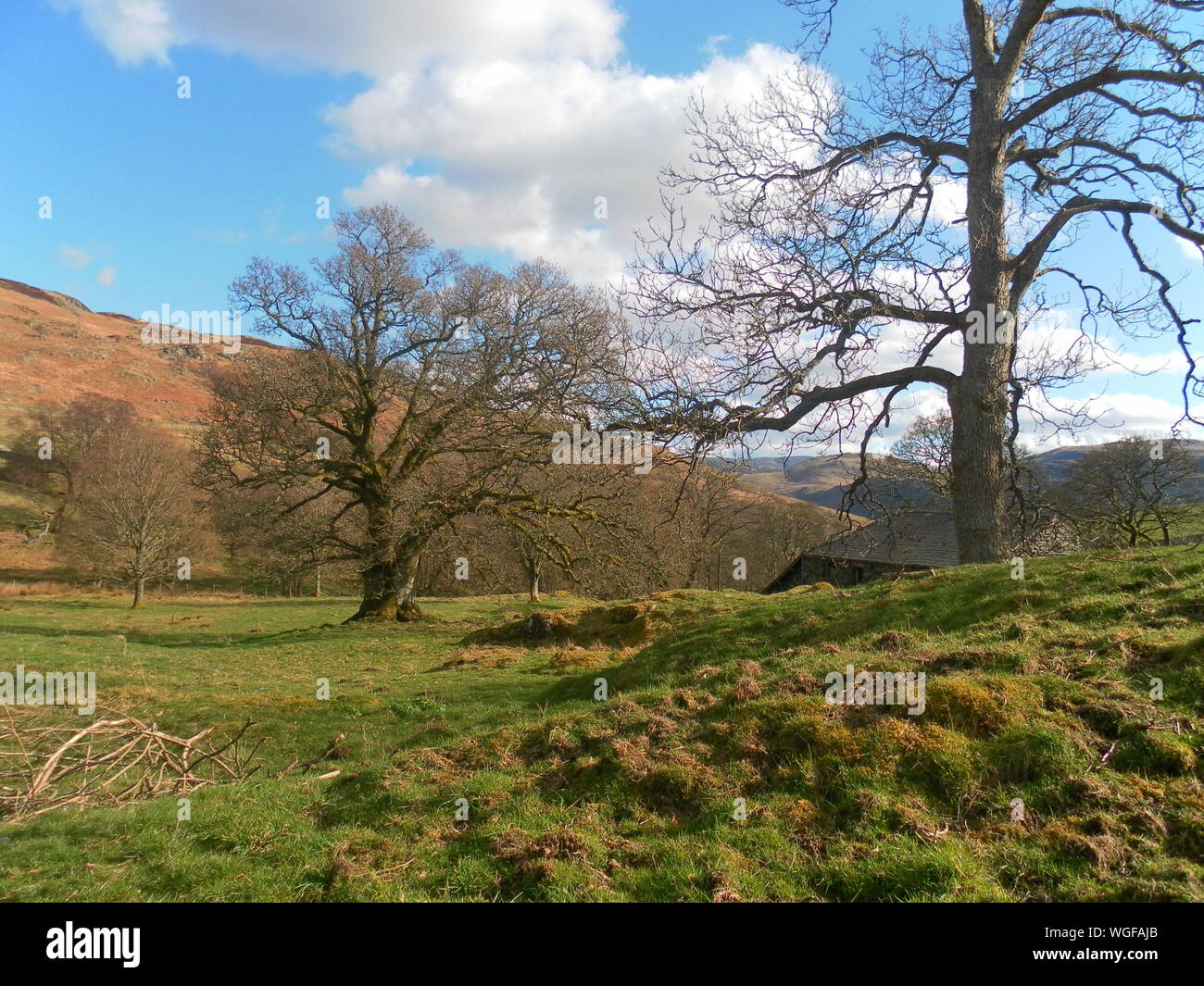 Lake District National Park England UK Stock Photo - Alamy