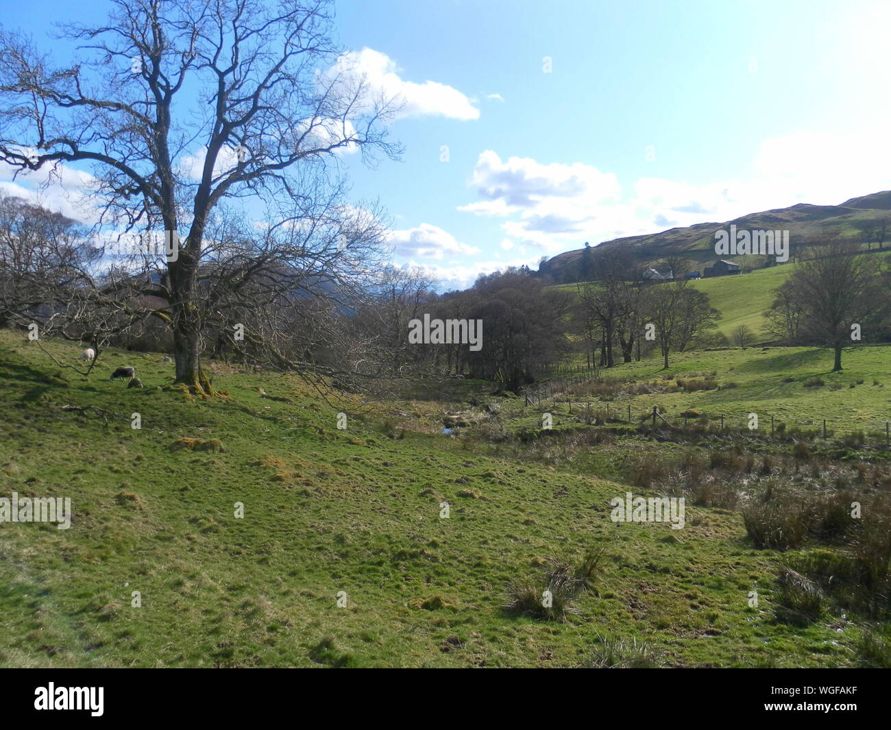 Lake District National Park England UK Stock Photo - Alamy